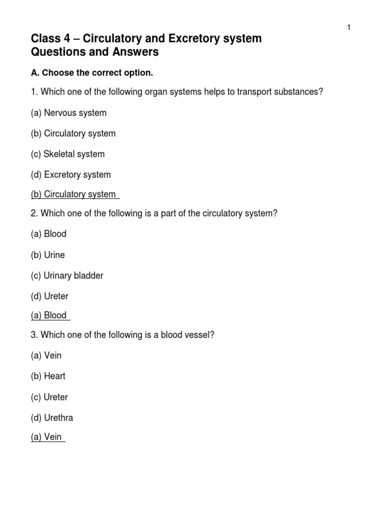 Class 4 Q&A: Circulatory & Excretory Systems | PDF | Human Body ...