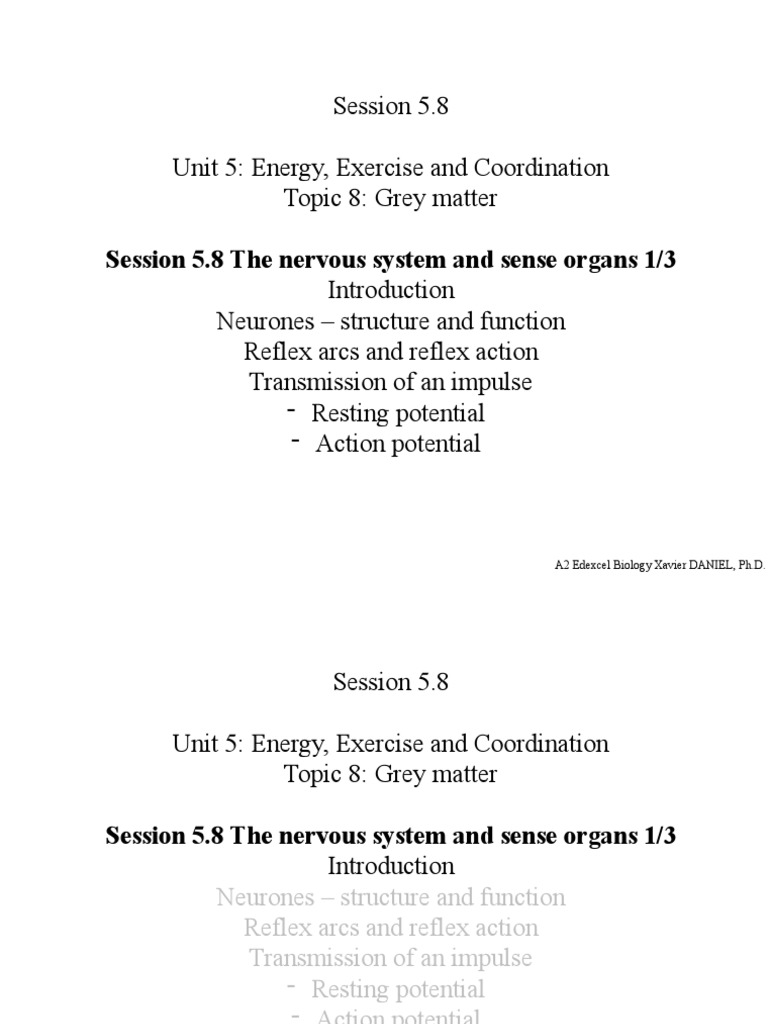 Nervous System: Neurons & Impulse Transmission | PDF | Action Potential ...
