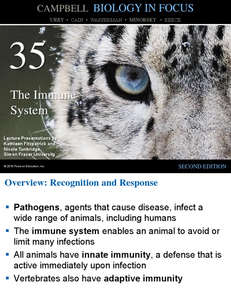 Full Immunity Material | PDF | Adaptive Immune System | Immune System