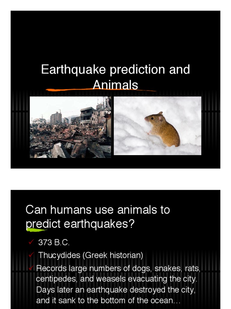 Earthquake Prediction and Animals | Download Free PDF | Earthquakes ...