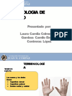 Mano en Garra: Causas y Tratamientos | PDF | Mano | Nervio