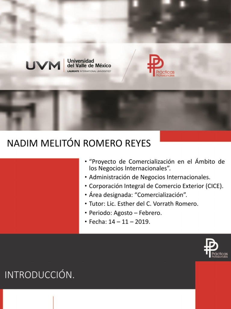 Informe Final NMRR | PDF | El comercio internacional | Logística
