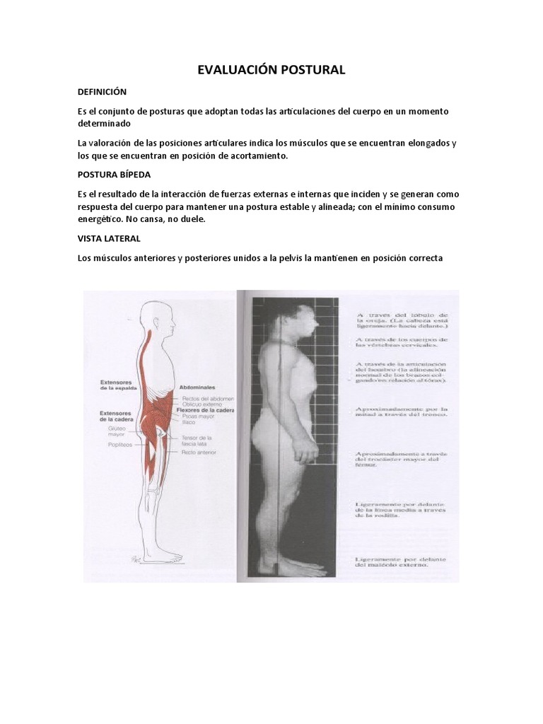 Evaluación Postural | PDF