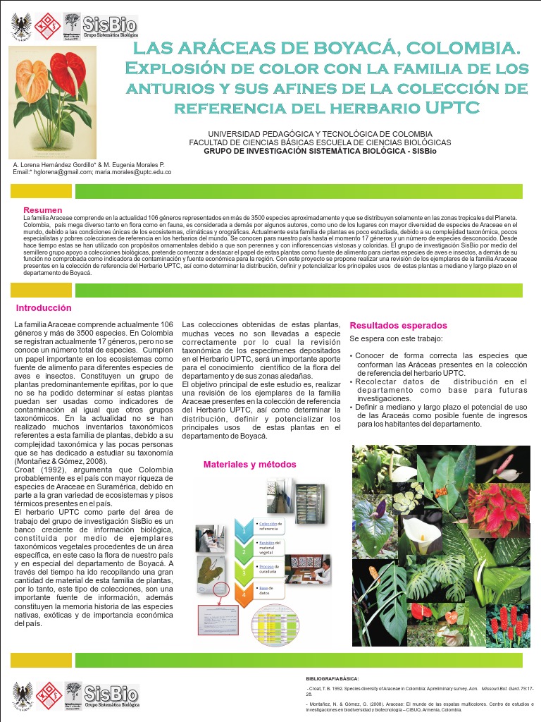 Poster Araceae | PDF | Taxonomía (biología) | Plantas