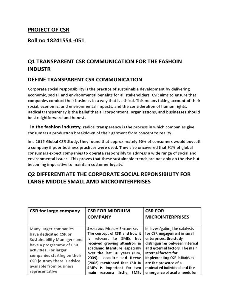 Project of CSR Roll No 18241554 - 051 | PDF | Corporate Social ...