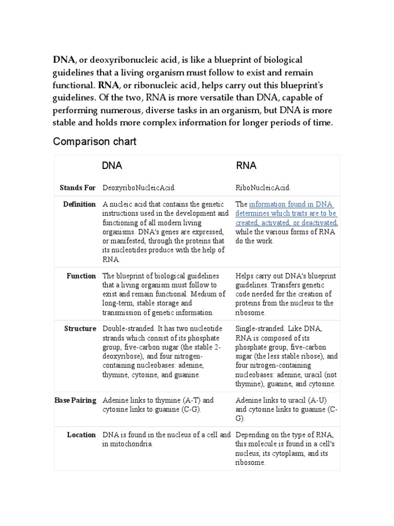 Comparison Chart: DNA, or Deoxyribonucleic Acid, Is Like A Blueprint of ...
