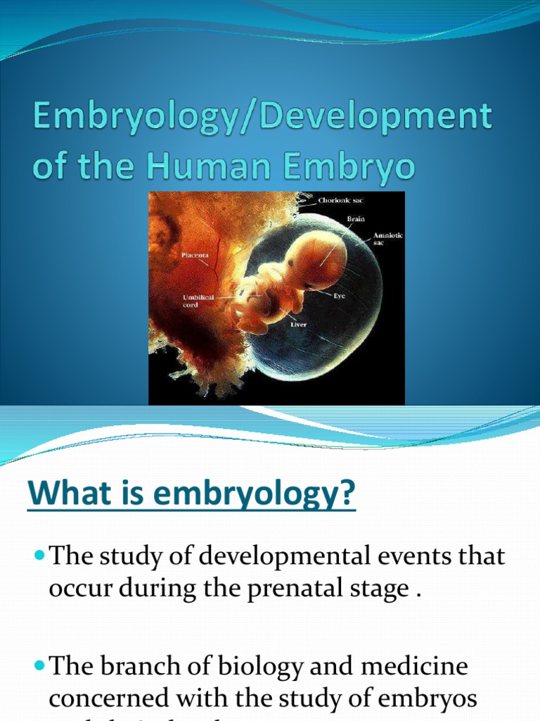 An Introduction to Human Embryology: The Development of the Embryo from Fertilization through ...