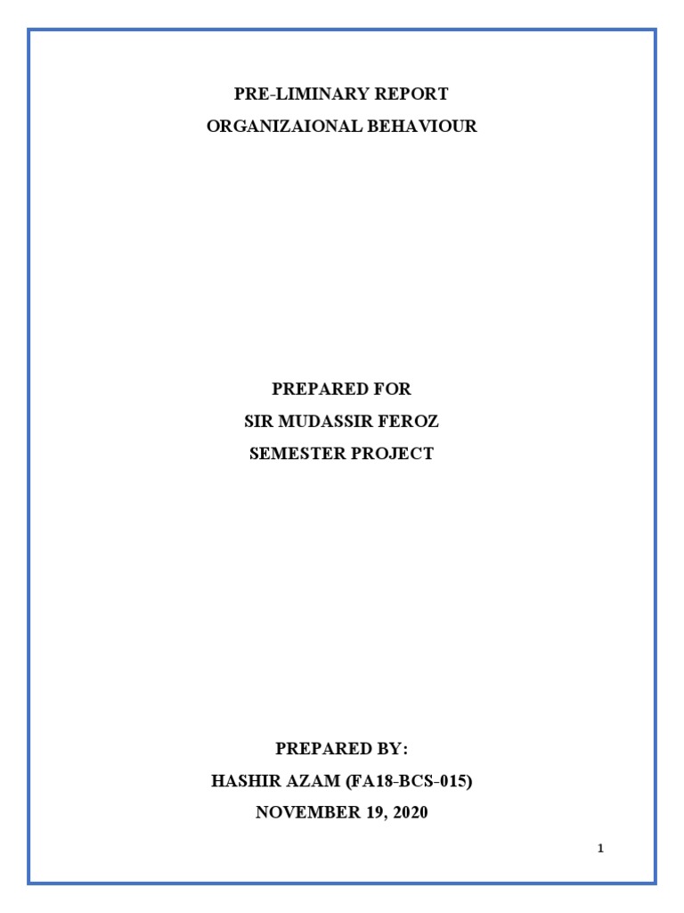 Pre-Liminary Report Organizaional Behaviour | PDF | Organizational ...