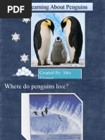 Penguin Facts for Young Readers | PDF