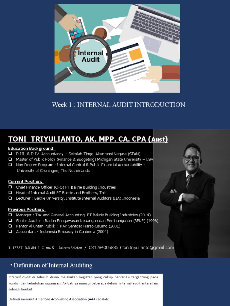 Week 1 Overview The Audit Model | PDF | Internal Audit | Audit