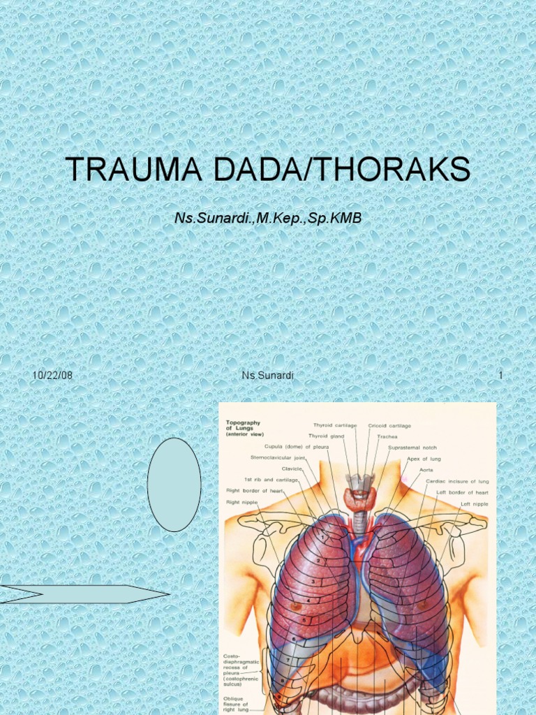 Trauma Dada | PDF