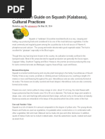 Method Statement Subgrade | PDF | Specification (Technical Standard) | Soil