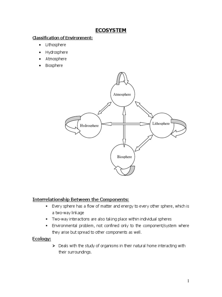 Unit 1B Ecosystem | PDF | Aquatic Ecosystem | Food Web