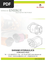 Baumer Pressure Gauges | PDF | Pressure Measurement | Physical Quantities