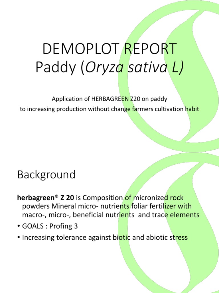 Demoplot Report On Paddy | PDF | Plant Nursery | Rice