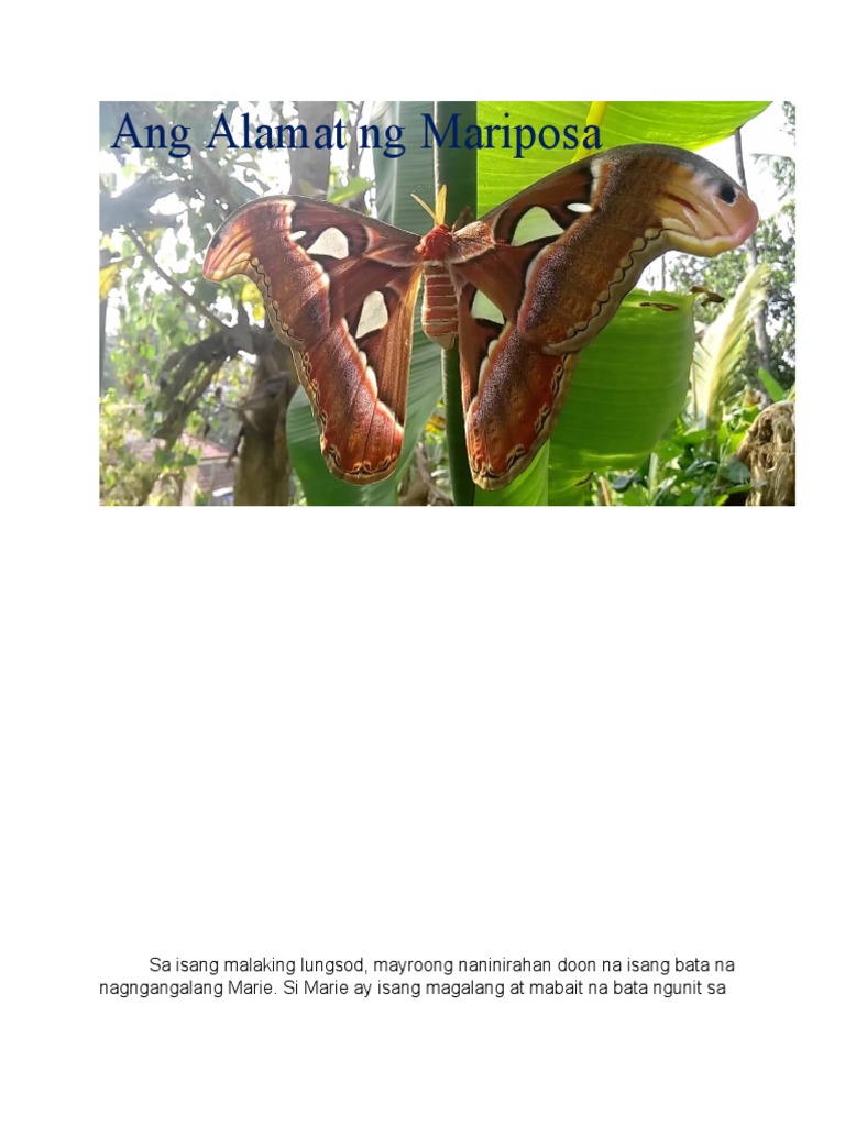 Ang Alamat NG Mariposa | PDF