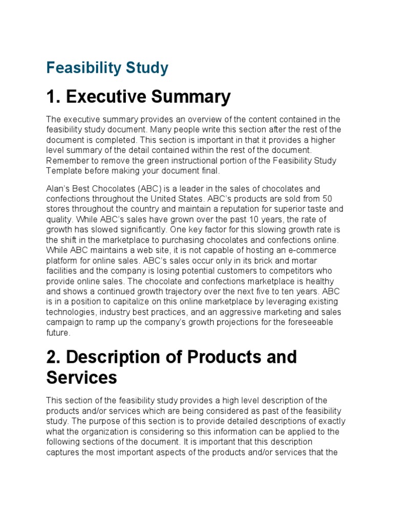 Executive Summary: Feasibility Study | PDF | E Commerce | Online Shopping