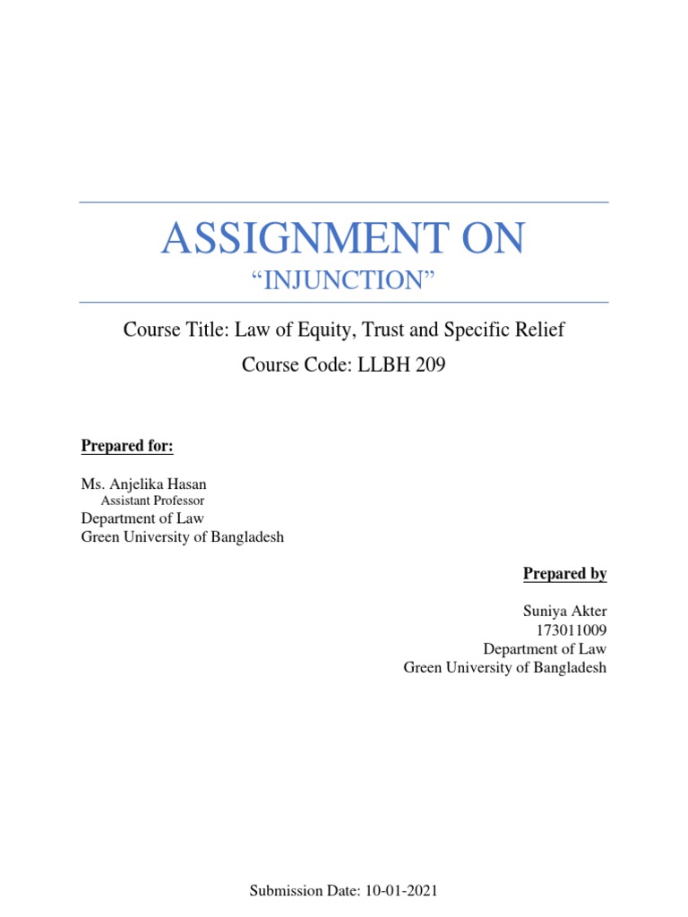 Assignment On Equity | PDF | Injunction | Equity (Law)