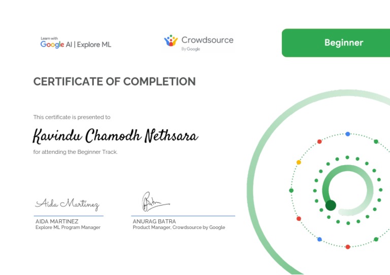 Kavindu Chamodh Nethsara: Certificate of Completion | PDF