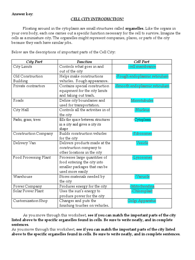 Cell City Analogy Answer Key | PDF | Endoplasmic Reticulum | Cytoplasm