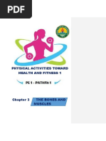 Human Muscles KS2 Labelling Activity | PDF