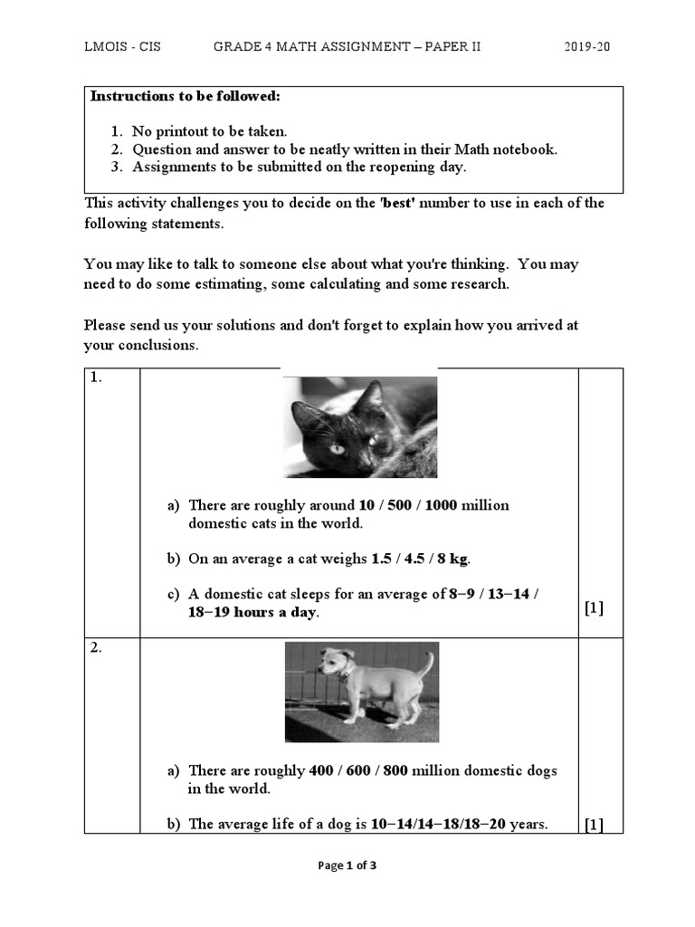 Grade 4 Holiday Assignment PAPER II | PDF