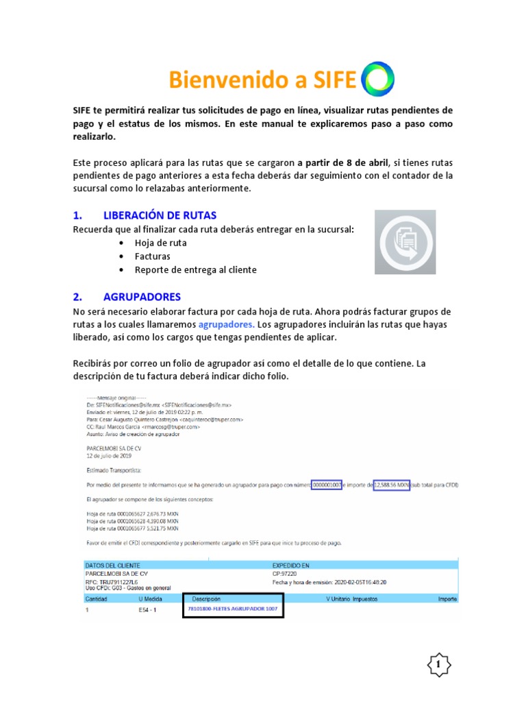 Manual SIFE SMON | PDF | Informática | Software