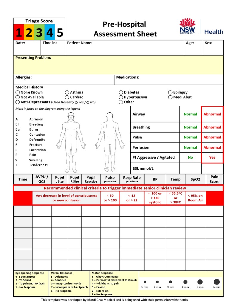 Pre Hospital Assessment Form | PDF | Pain | Emergency Medical Services