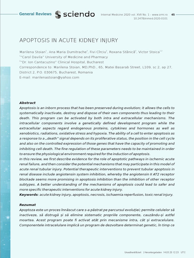 Apoptosis in Acute Kidney Injury | PDF | Apoptosis | Biological Processes