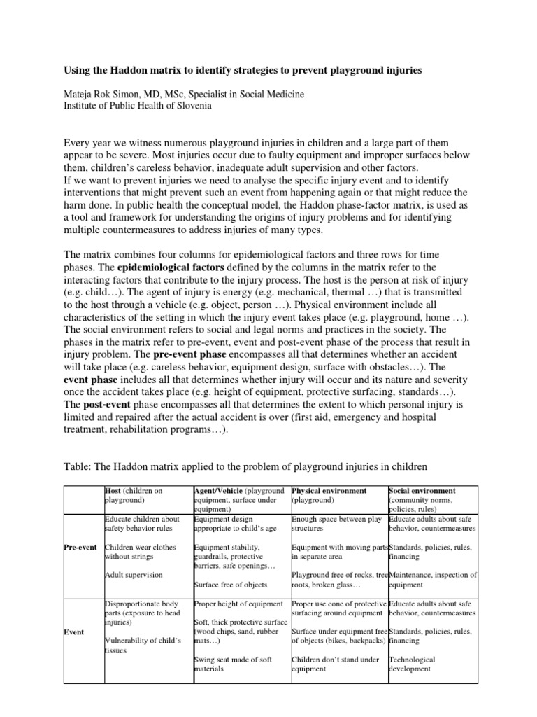 Sample Haddon Matrix | PDF | Playground | Accessibility