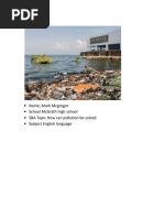 English SBA Group Report on Pollution | PDF