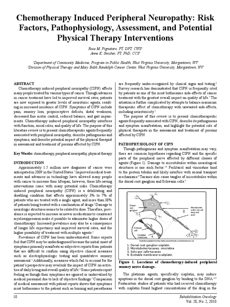 Chemotherapy Induced Peripheral Neuropathy Risk ... 2010 | PDF ...