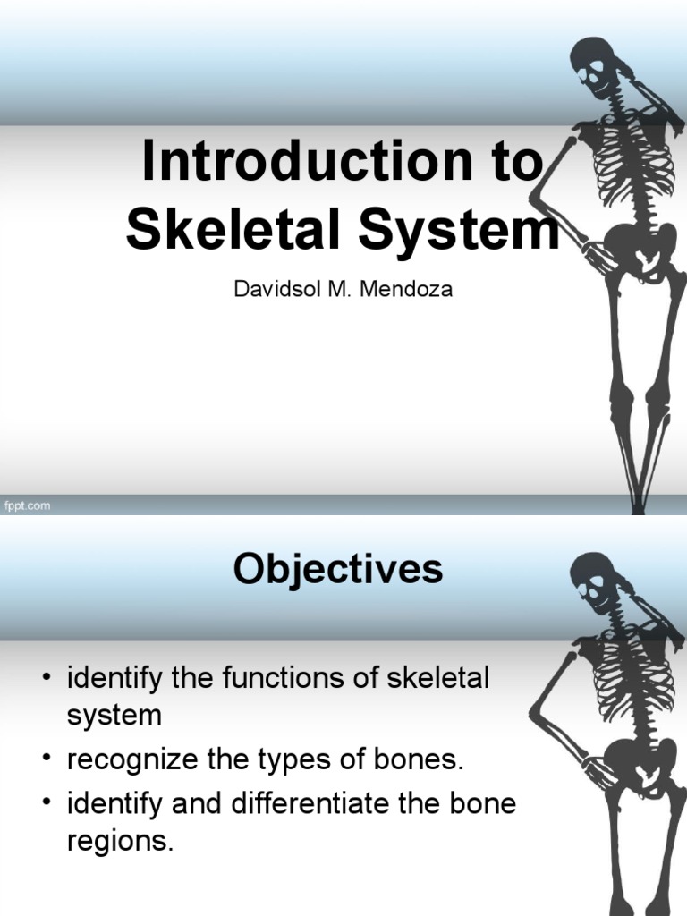 Introduction To Skeletal System: Davidsol M. Mendoza | PDF | Skeleton ...
