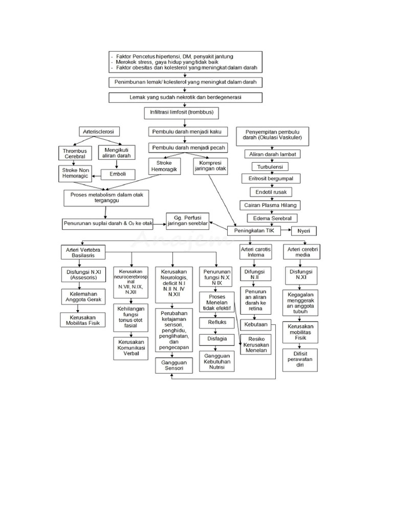 Pathway Gagal Jantung | PDF