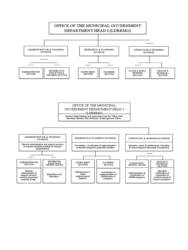 LDRRMO Organizational Structure Overview | PDF | Disasters | Risk ...