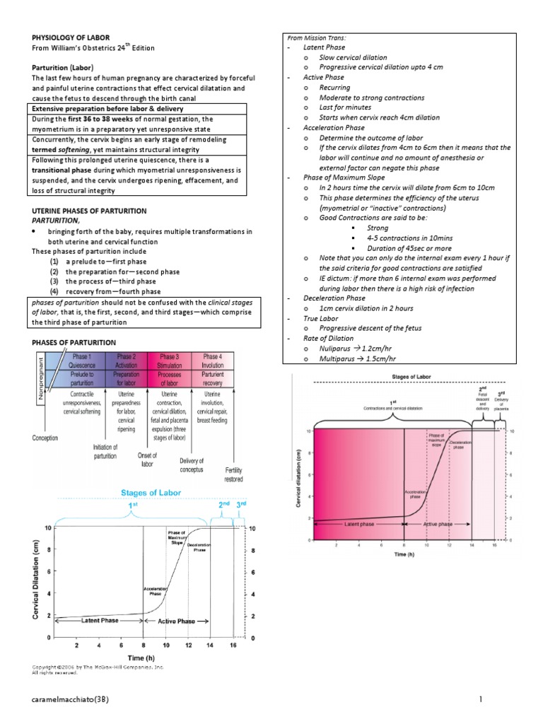 Physiology of Labor | Download Free PDF | Muscle Contraction | Childbirth