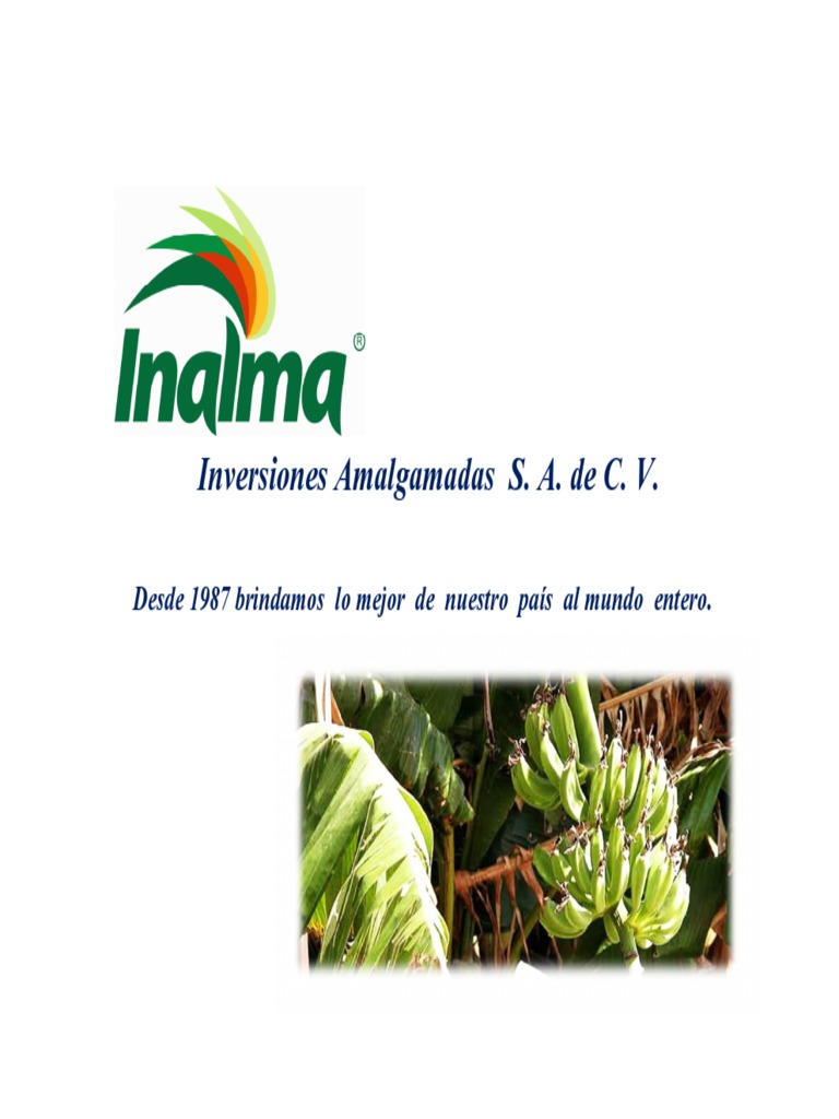 Presentacion INALMAene17a | PDF | Calidad (comercial) | Agricultura