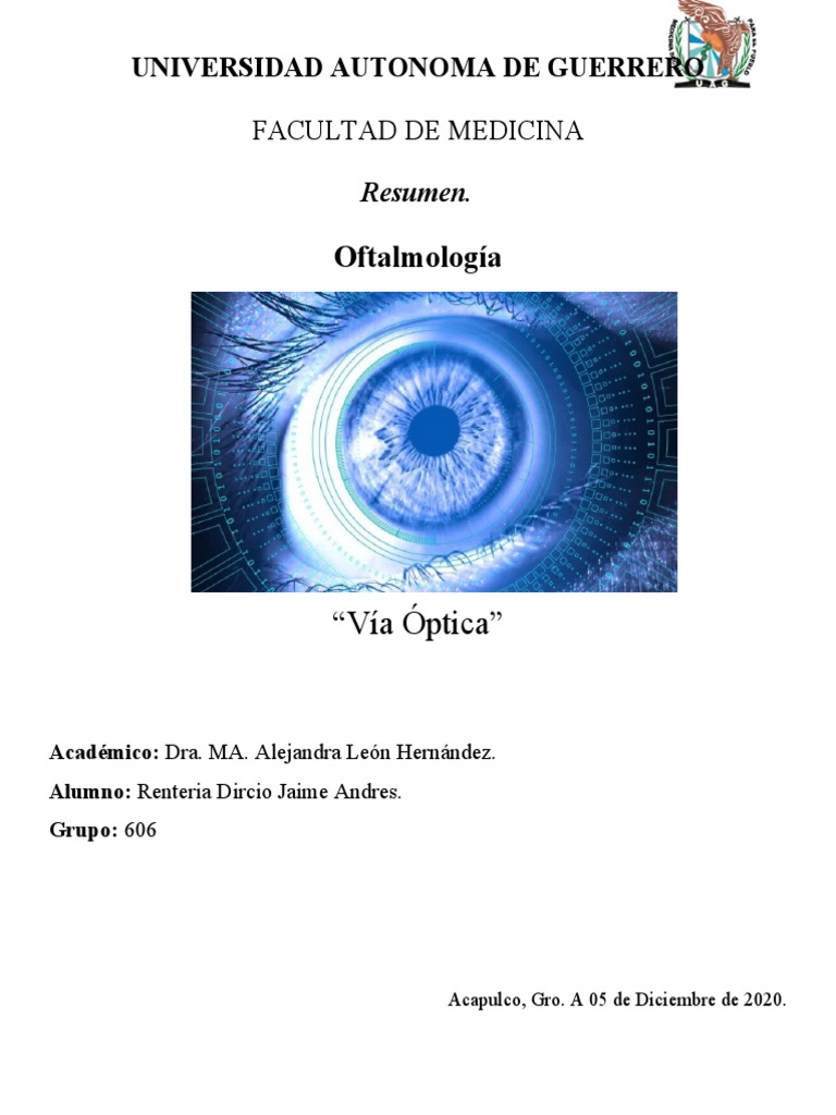 Via Optica | PDF | Percepción visual | Lóbulo occipital
