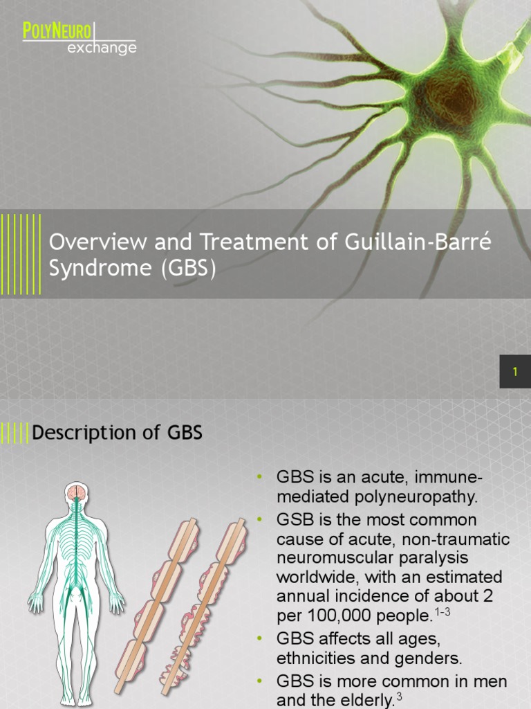 Overview and Treatment of Guillain-Barré Syndrome (GBS) | PDF ...