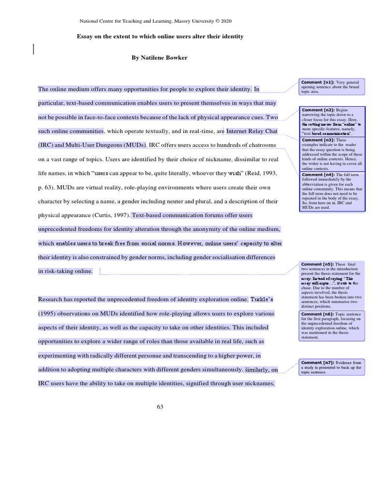 Essay On The Extent To Which Online Users Alter Their Identity | PDF ...