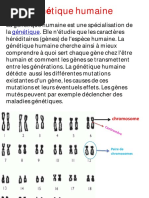 Exercices corrigés de génétique humaine | PDF | Rousseur | Génotype