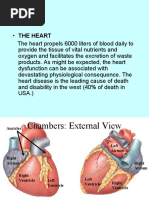 GTN Infusion Protocol | PDF | Causes Of Death | Angiology