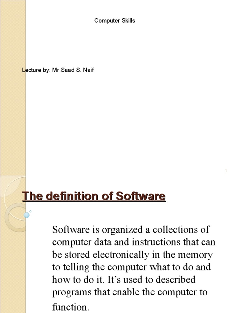 Computer Skills | PDF | Computer Program | Programming