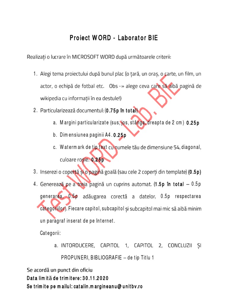 Proiect WORD | PDF
