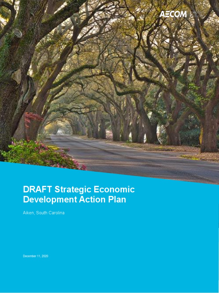 Aiken Strategic Economic Development Action Plan | PDF | Economic ...