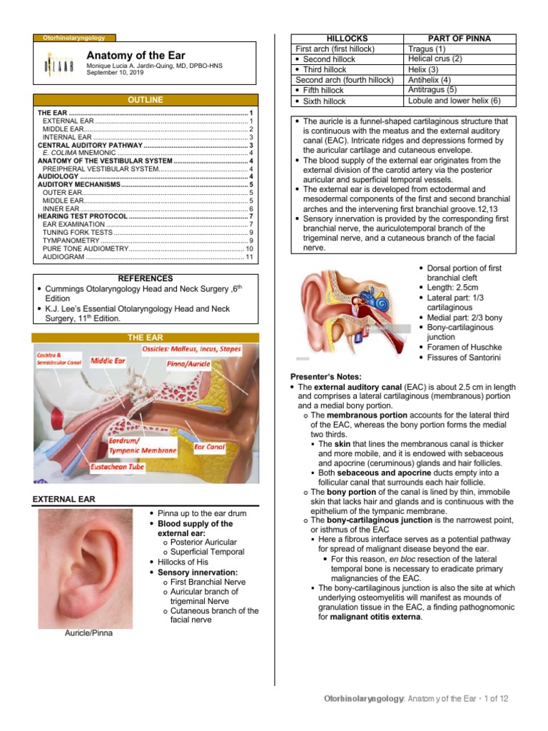 Anatomy of The Ear: Outline | Download Free PDF | Ear | Auditory System