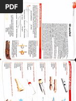 Il Flauto Dolce | PDF