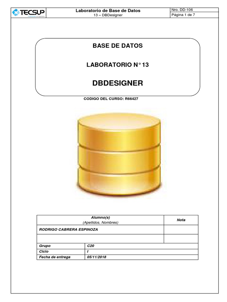 13 - DBDesigner | PDF | Bases de datos | Programación de computadoras