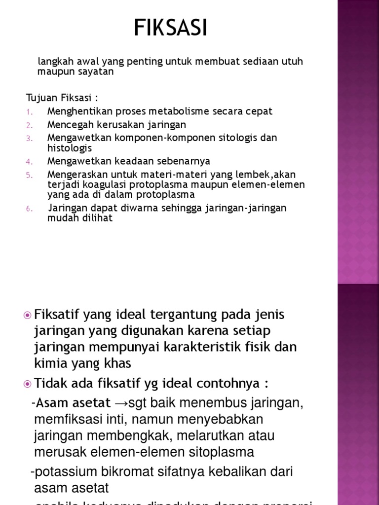 Fiksasi | PDF