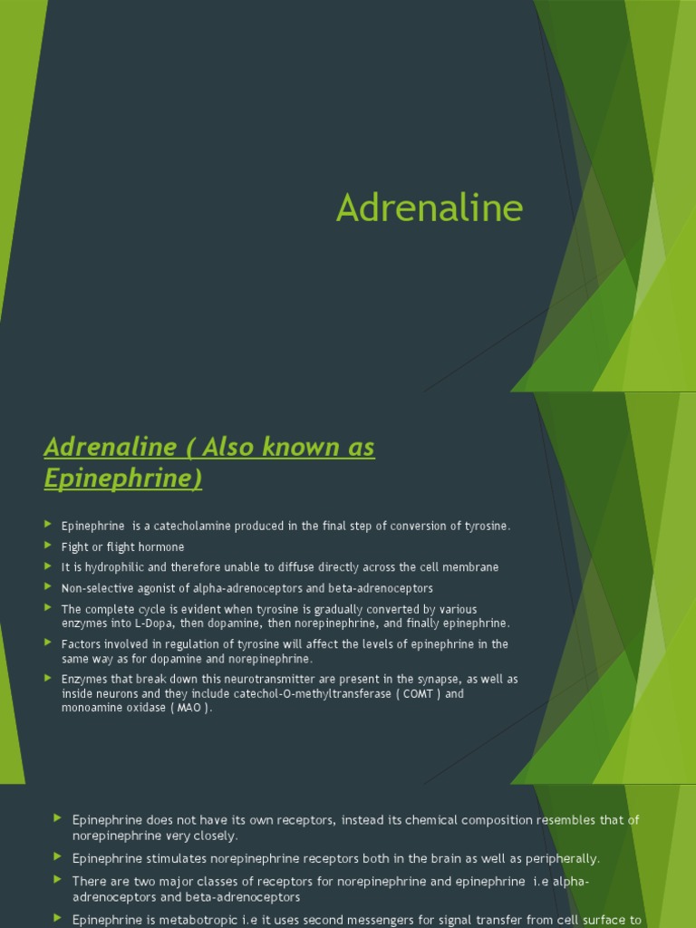 Adrenaline Presentation | PDF | Norepinephrine | Neurotransmitter